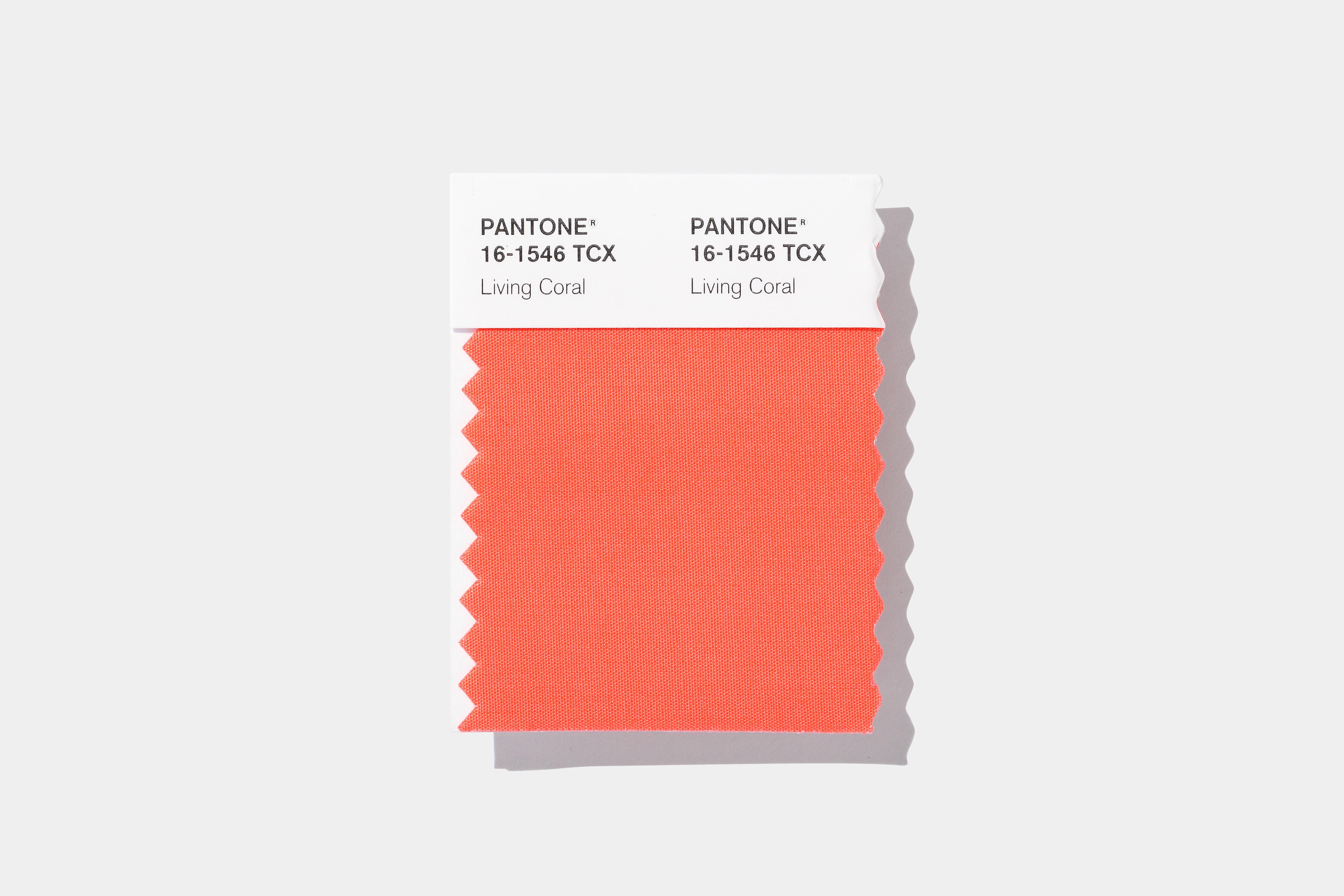 What to Know About Living Coral, Pantone’s 2019 Color of the Year - Artsy