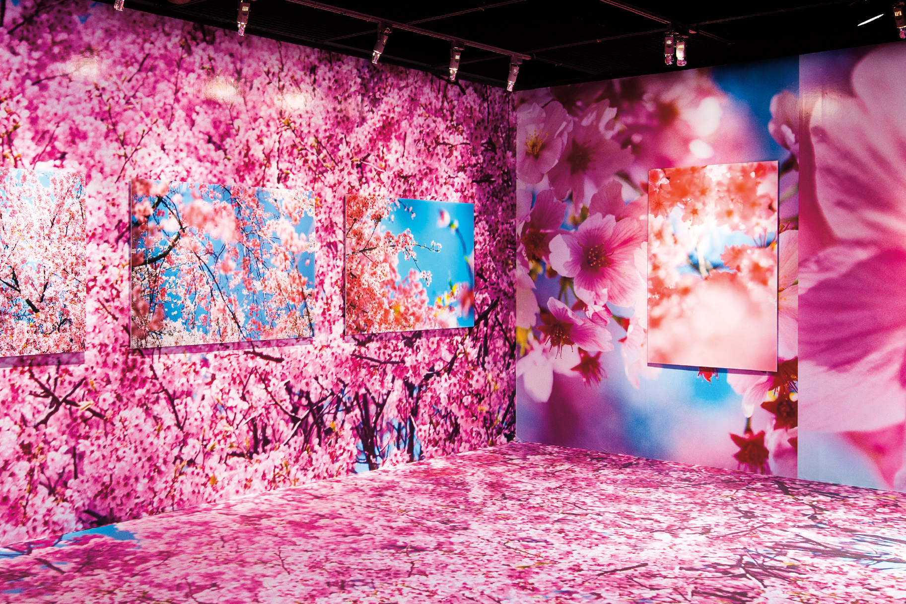 Mika Ninagawa: In Conversation - Artsy