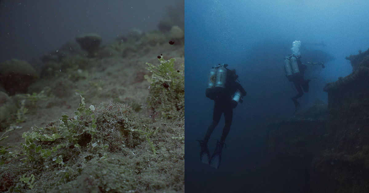 An Artist and a Curator’s Death-Defying Dives 200 Feet below the ...