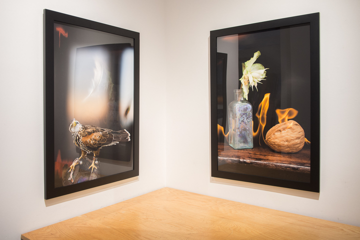 The Legacy of the Still Life in Olivia Parker’s Exploratory Photography ...